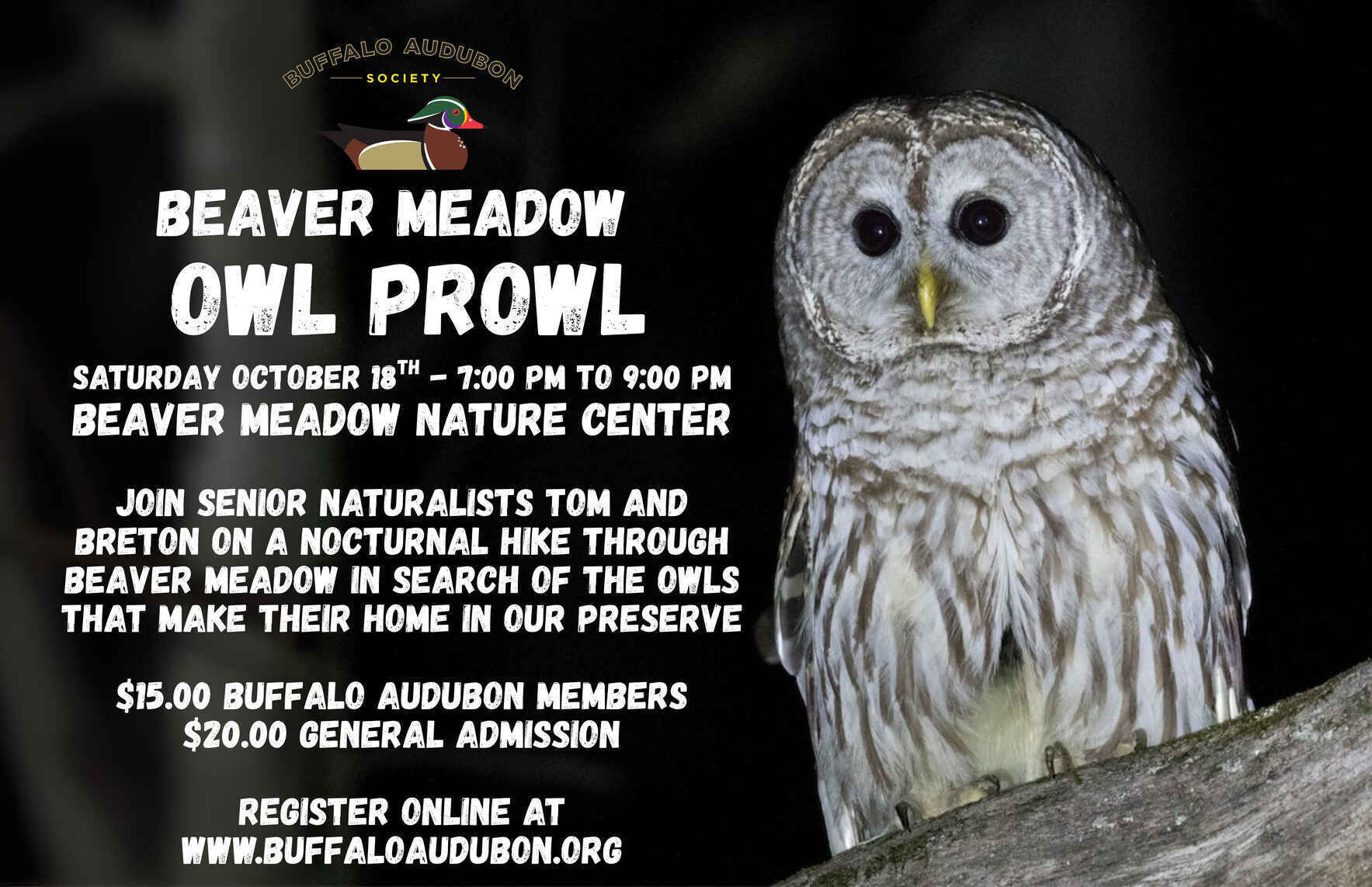 Beaver Meadow Audubon Owl Prowl- October 18, 2025- North Java, NY ...